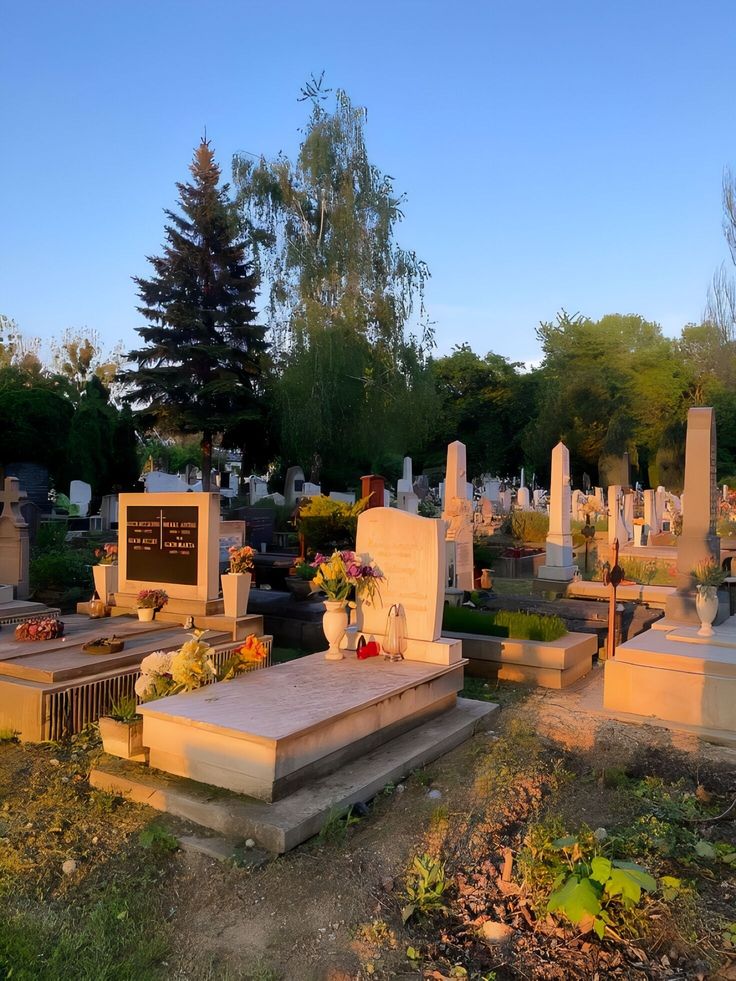 Gravestone Materials: Top Imported Stones for Durability and Style